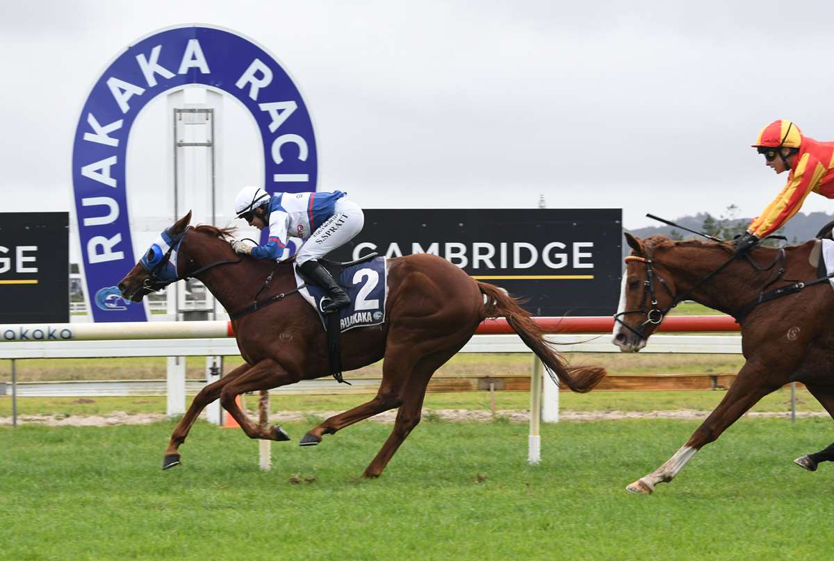 Own a Share in A Racehorse [Go Racing]