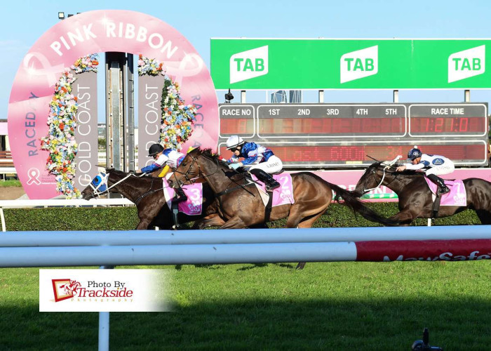 Go Racing celebrate spring success [Go Racing]