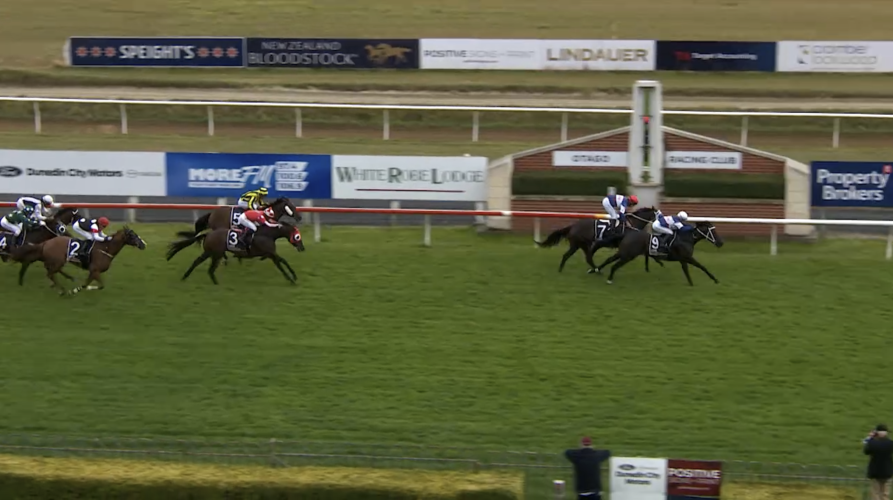 Exciting quinella for Go Racing at Wingatui [Go Racing]