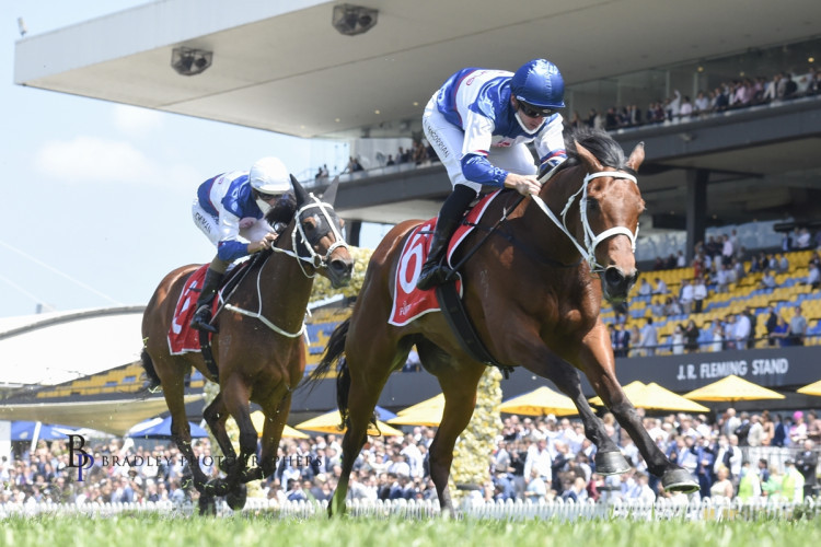 Golden Eagle Day quinella for Go Racing [Go Racing]