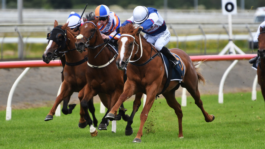 Go Racing back in Millions frame with Velocious [Go Racing]